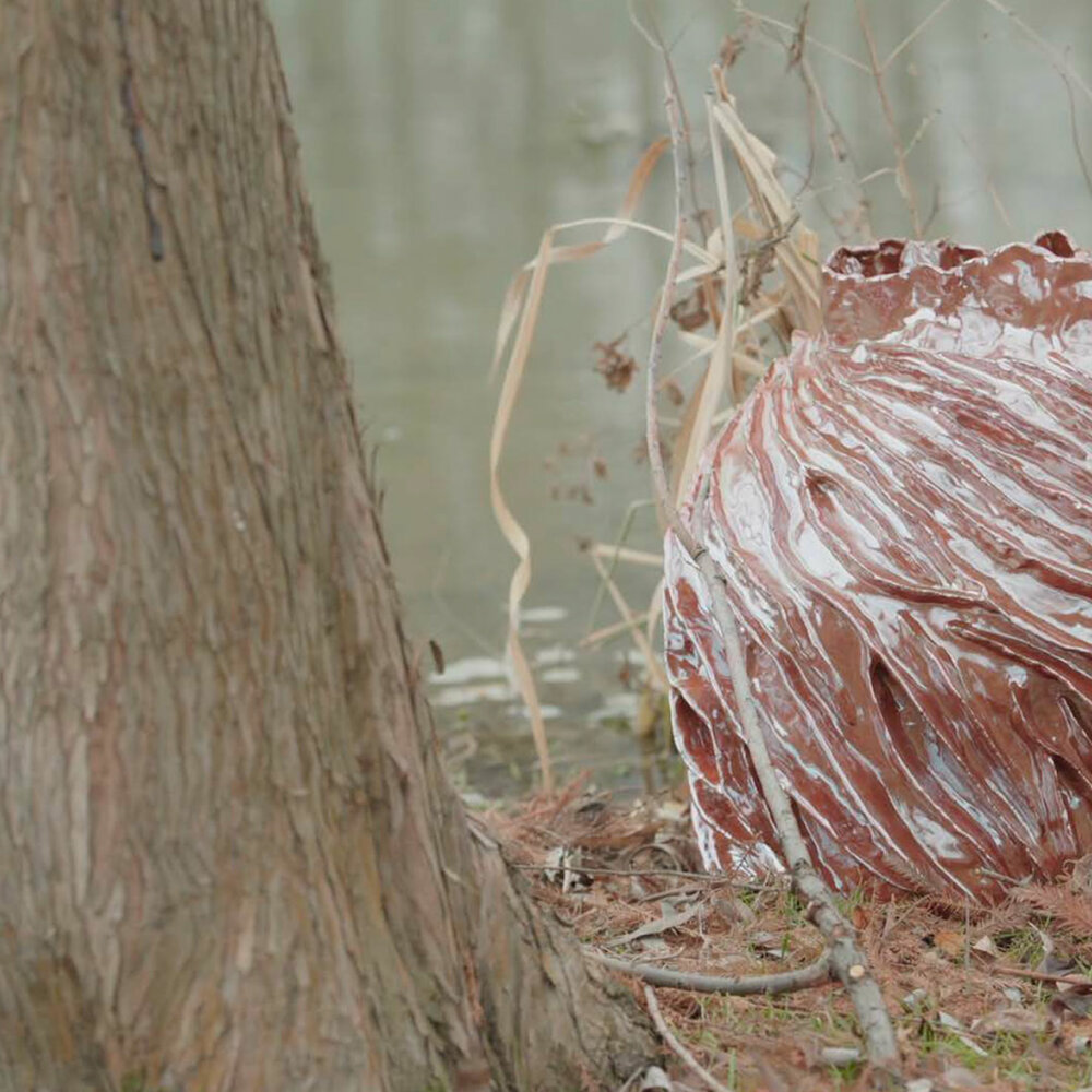 Dům umění města Brna Vernisáž Csilla Nagy, Slávo Krekovič: Symbionti 2.0