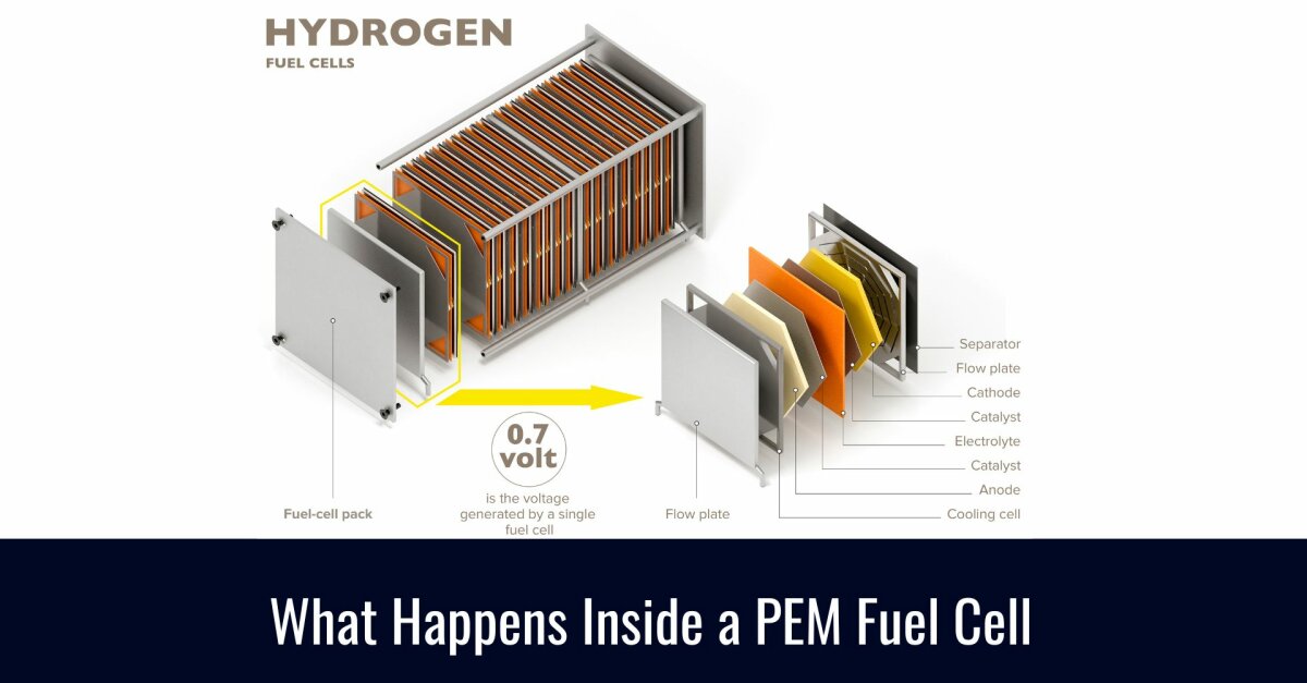 Fuel Cell Shop What Happens Inside a PEM Fuel Cell
