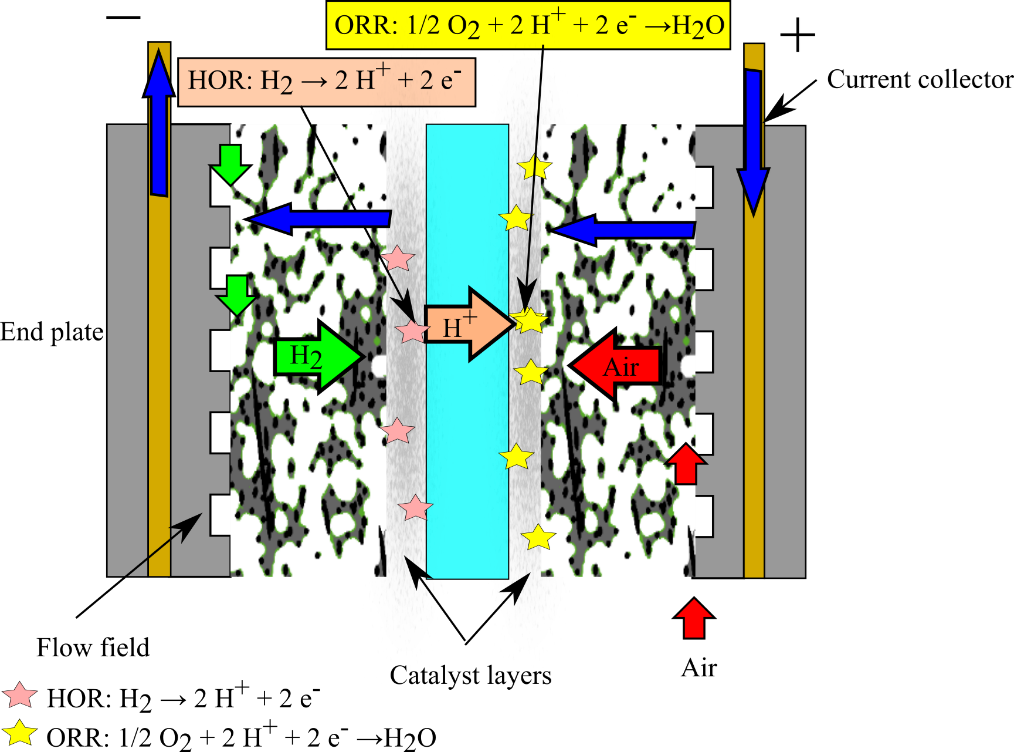 Fuel Cell Shop What Happens Inside a PEM Fuel Cell
