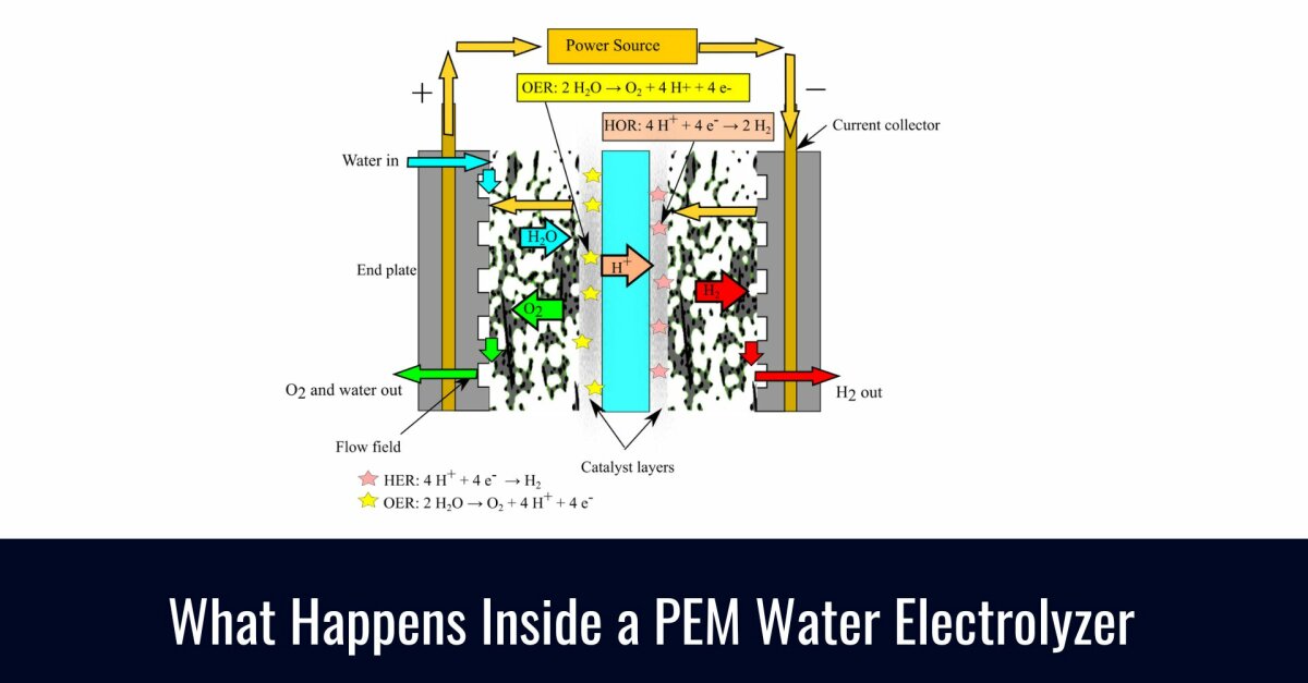 Fuel Cell Shop What Happens Inside a PEM Water Electrolyzer