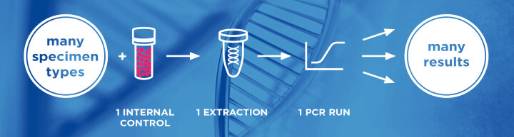 GeneProof Universal Internal Control