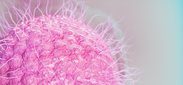 GeneProof Varicella-Zoster Virus (VZV) PCR Kit