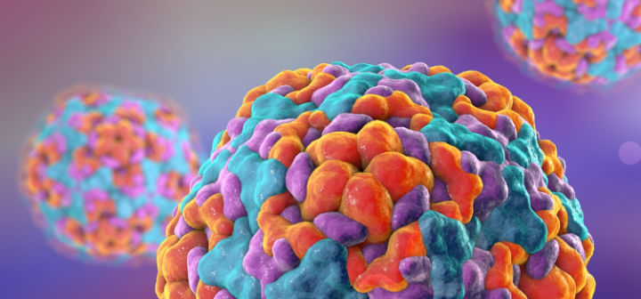GeneProof Enterovirus PCR Kit