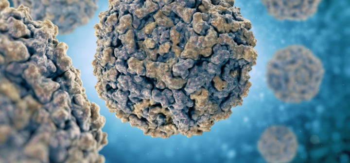 GeneProof Parvovirus B19 PCR testing