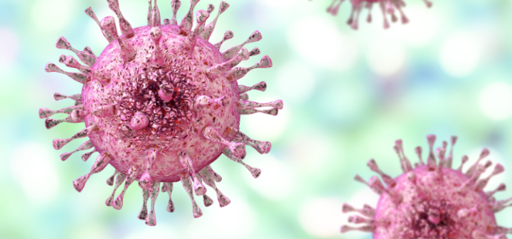 GeneProof Human Herpes Virus 6/7 (HHV-6/7) PCR