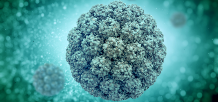 GeneProof BK/JC Virus (BK/JC) PCR Kit