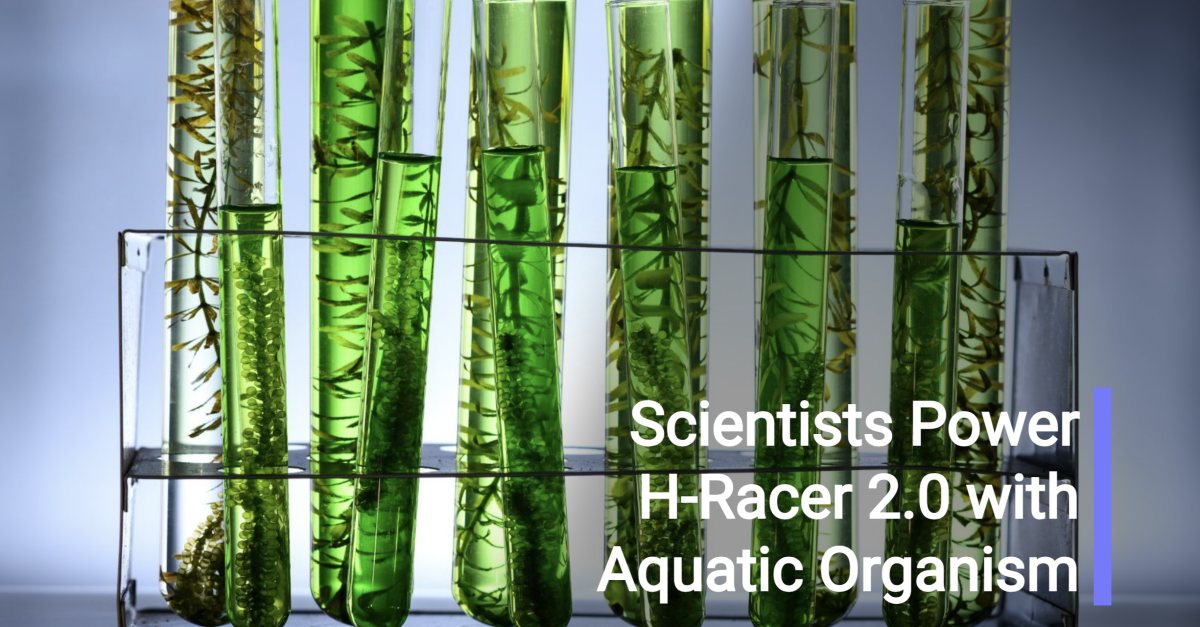 Horizon Educational - Hydrogen from Algae?: Scientists Power H-Racer 2. ...