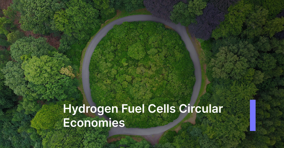 Horizon Educational - The Role of Hydrogen Fuel Cells in Circular ...