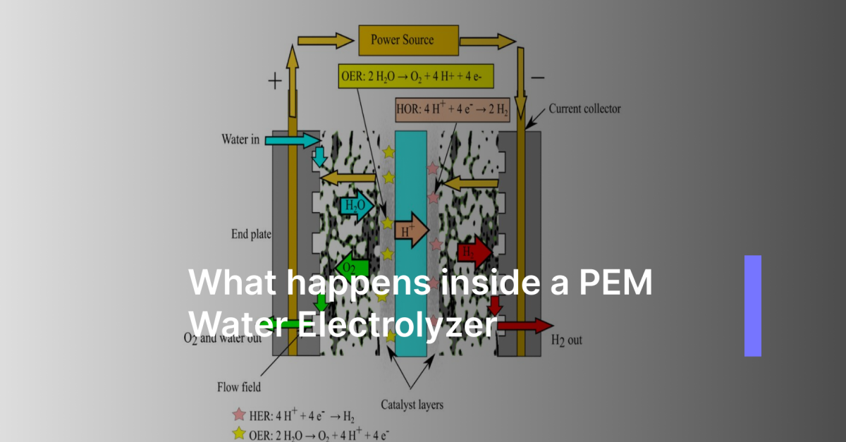 Horizon Educational - What happens inside a PEM Water Electrolyzer